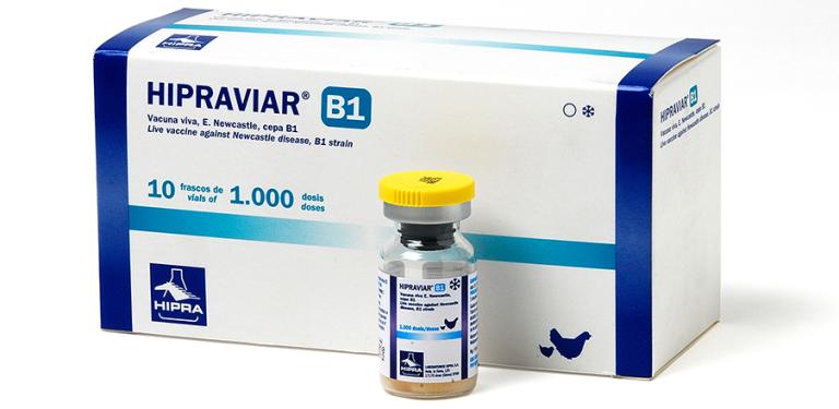HIPRA | HIPRAVIAR® B1 vaccine against Newcastle disease